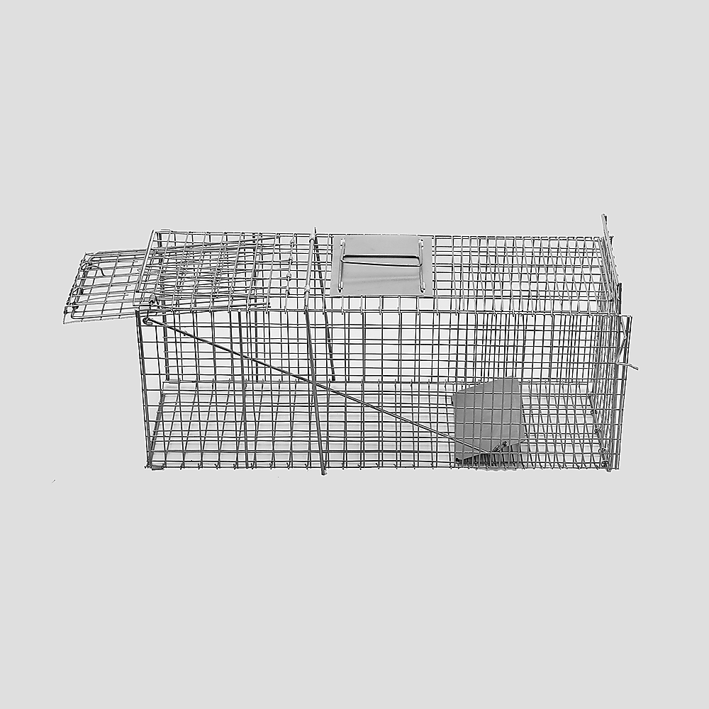 Humane Animal Trap Possum Cage – Ozbasket
